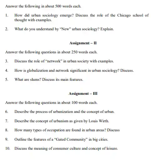 BSOE 141 Question Paper Hindi & English Medium Download